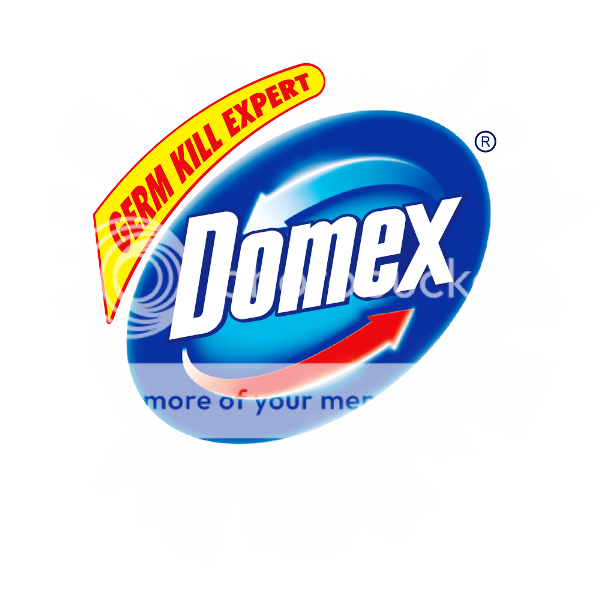 Domex Marks 3 Million Clean Toilets Milestone in 2016 - One Proud Momma
