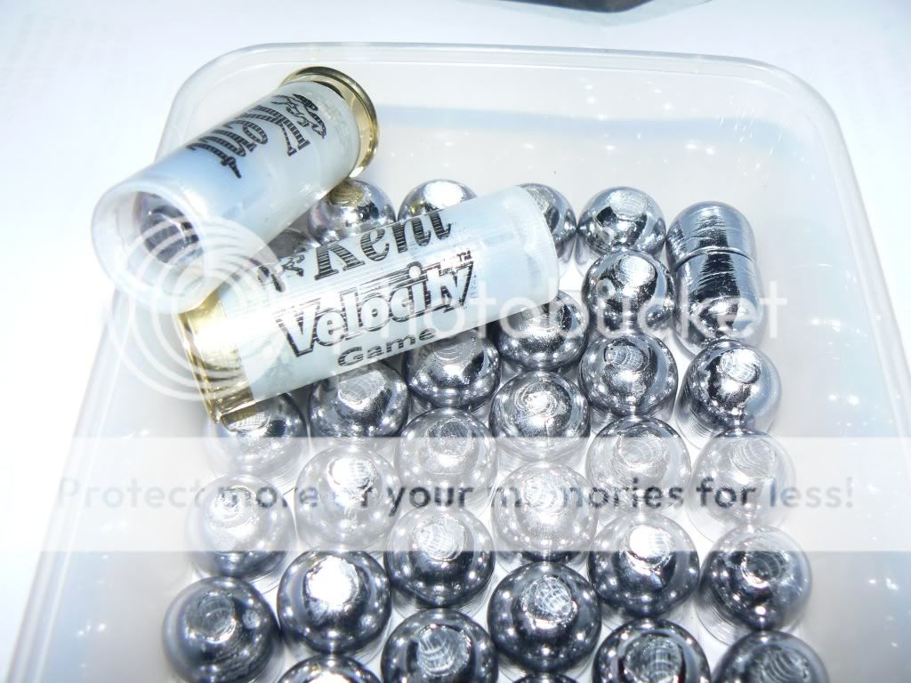 Slugs made simple..... | The Stalking Directory