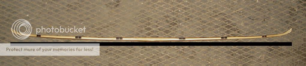 Marc St. Louis's Bows - PaleoPlanet